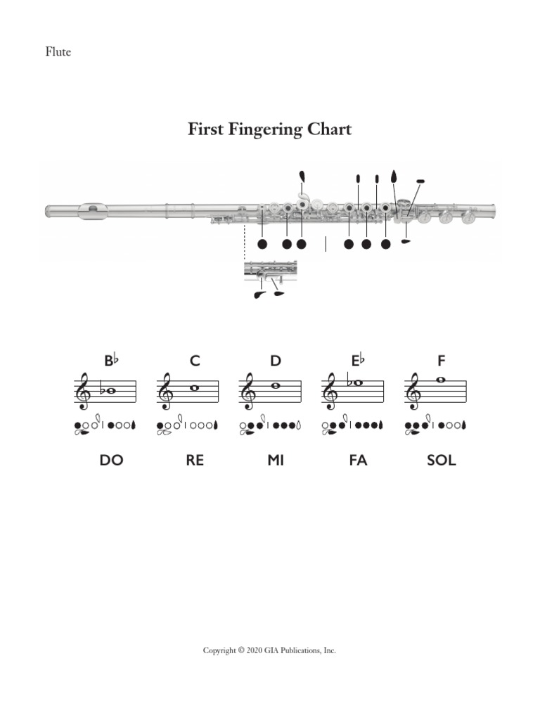 01-First-Five-Notes-Flute | PDF