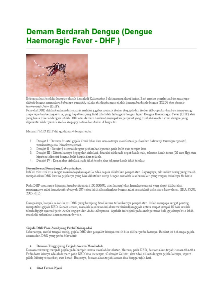 Demam Berdarah Dengue (Dengue Haemoragic Fever - DHF) | PDF