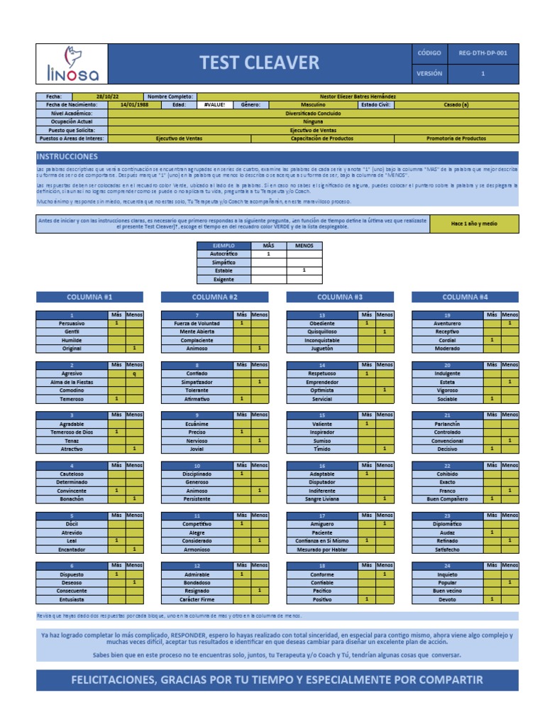 Test Cleaver: Evaluación Personal | PDF