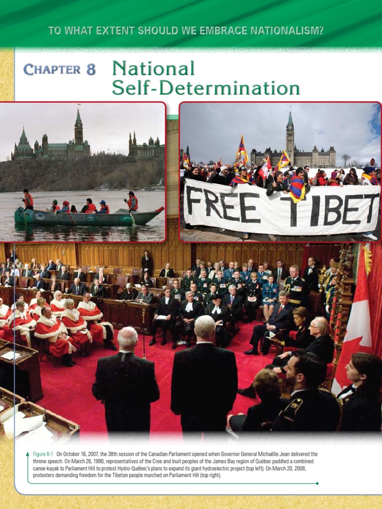 Chapter 8 - National Self Determination | PDF | Self Determination | Government