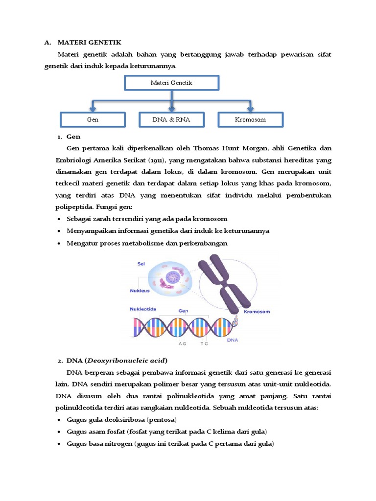 Materi Genetik | PDF | Kajian Bahasa Asing
