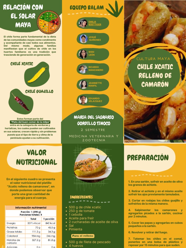 Folleto Tríptico Talleres Infantiles Comida Saludable Orgánico Naranja ...