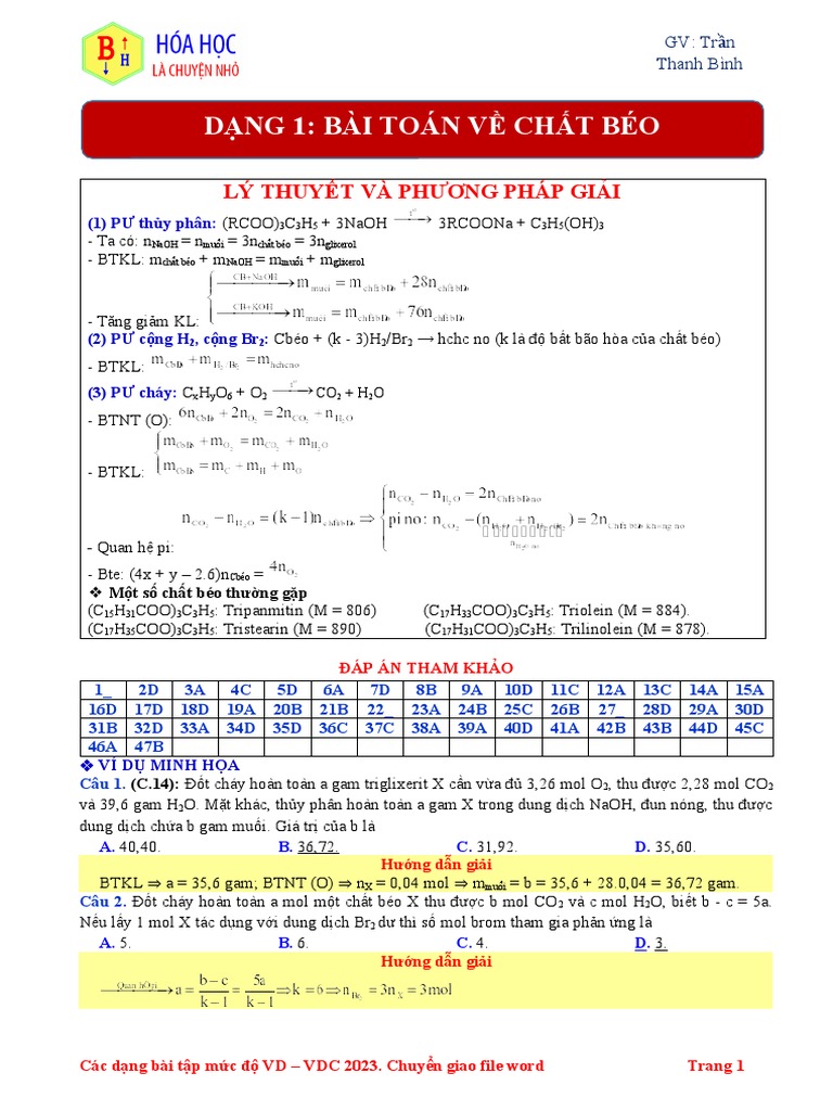 Dang 1 - Bai Toan Chat Beo. TTB - Dap An | PDF