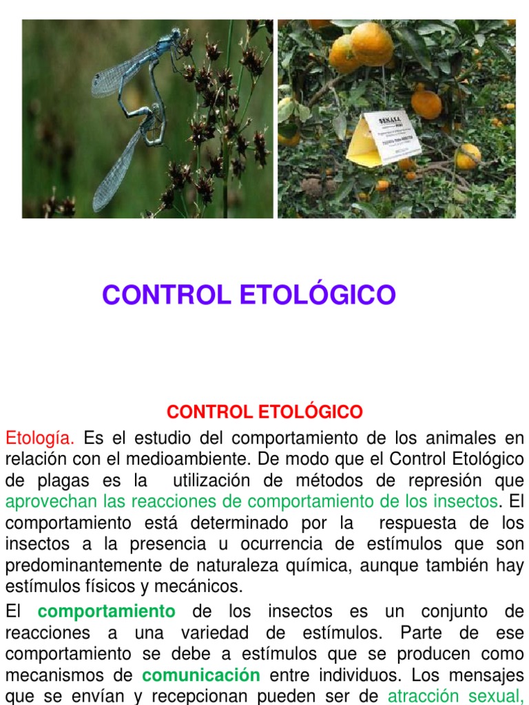 Control Etológico de Plagas Insectiles | PDF | Feromona | Insectos
