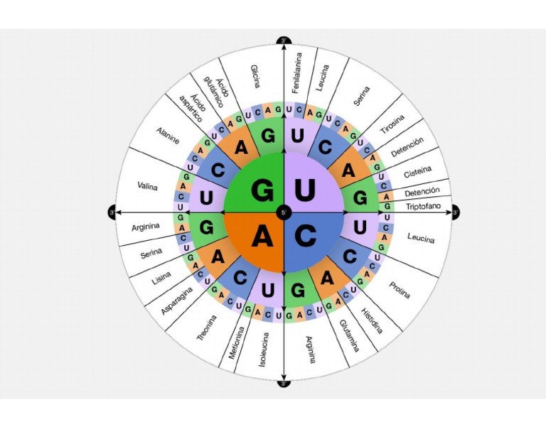 Codigo Genetico | PDF