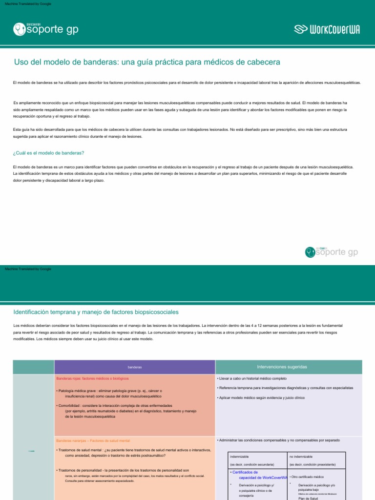 Flags Model | PDF | Trastorno depresivo mayor | Ansiedad