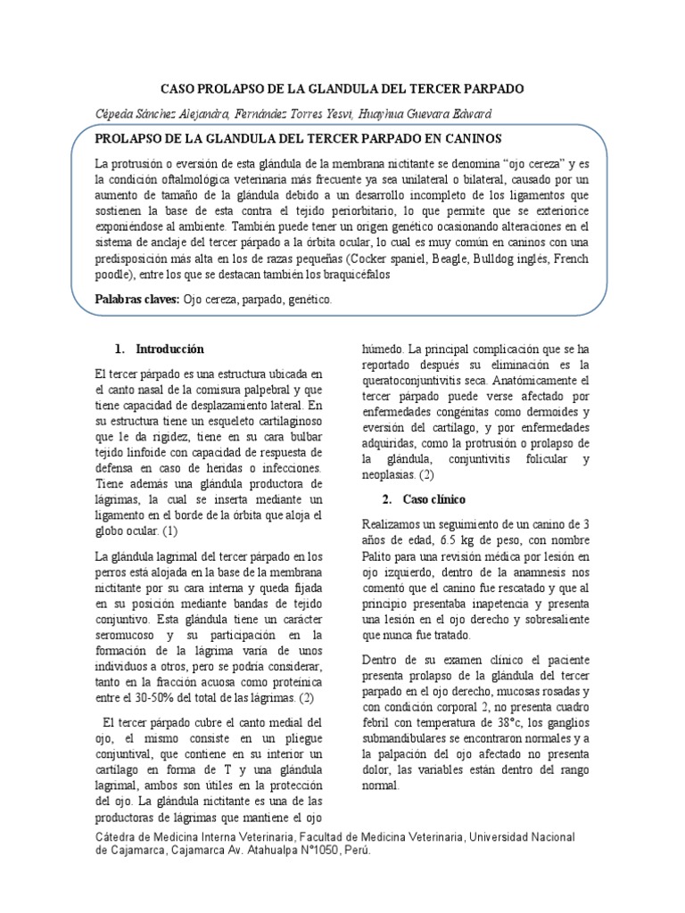 Caso Prolapso de La Glandula Del Tercer Parpado | PDF | Medicina ...
