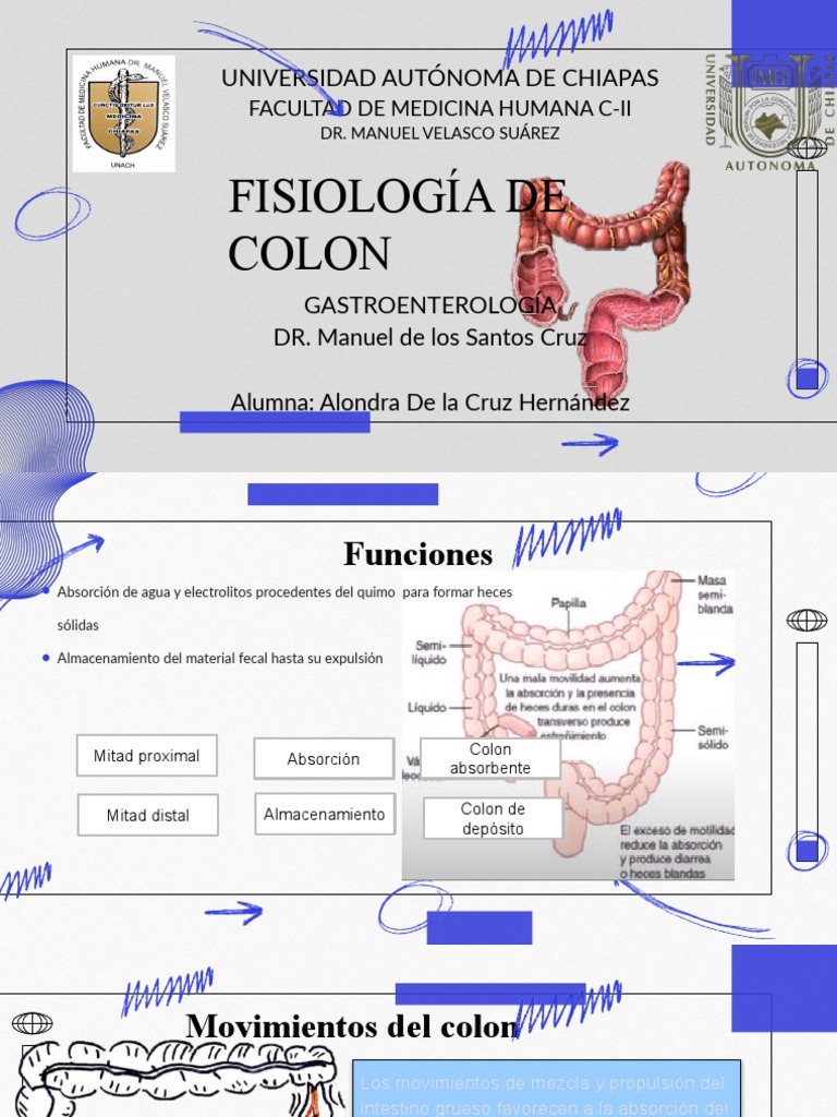 COLON | PDF | Recto | Intestino grueso