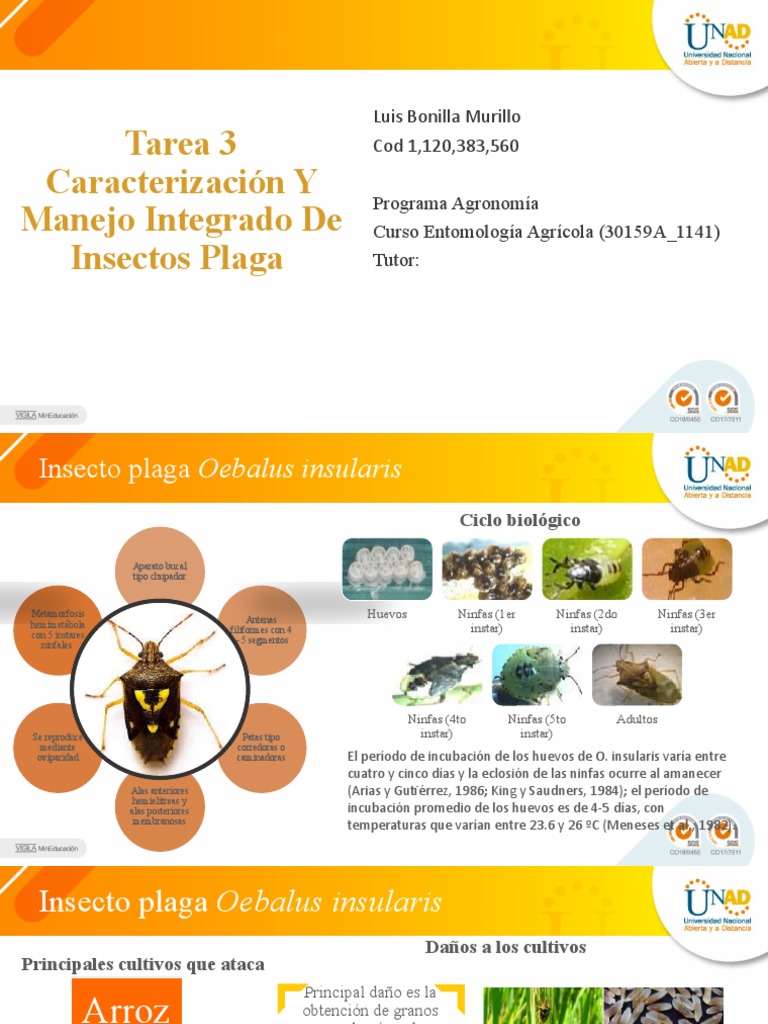 Insectos Plaga | PDF | Insectos | Plaga (organismo)