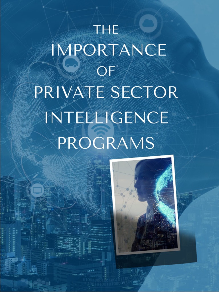 Private Sector Intelligence | PDF | Computer Security | Security