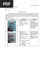 Pi Futrolit Ind | PDF