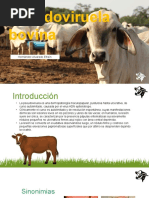 Triptico Nom-004 | PDF