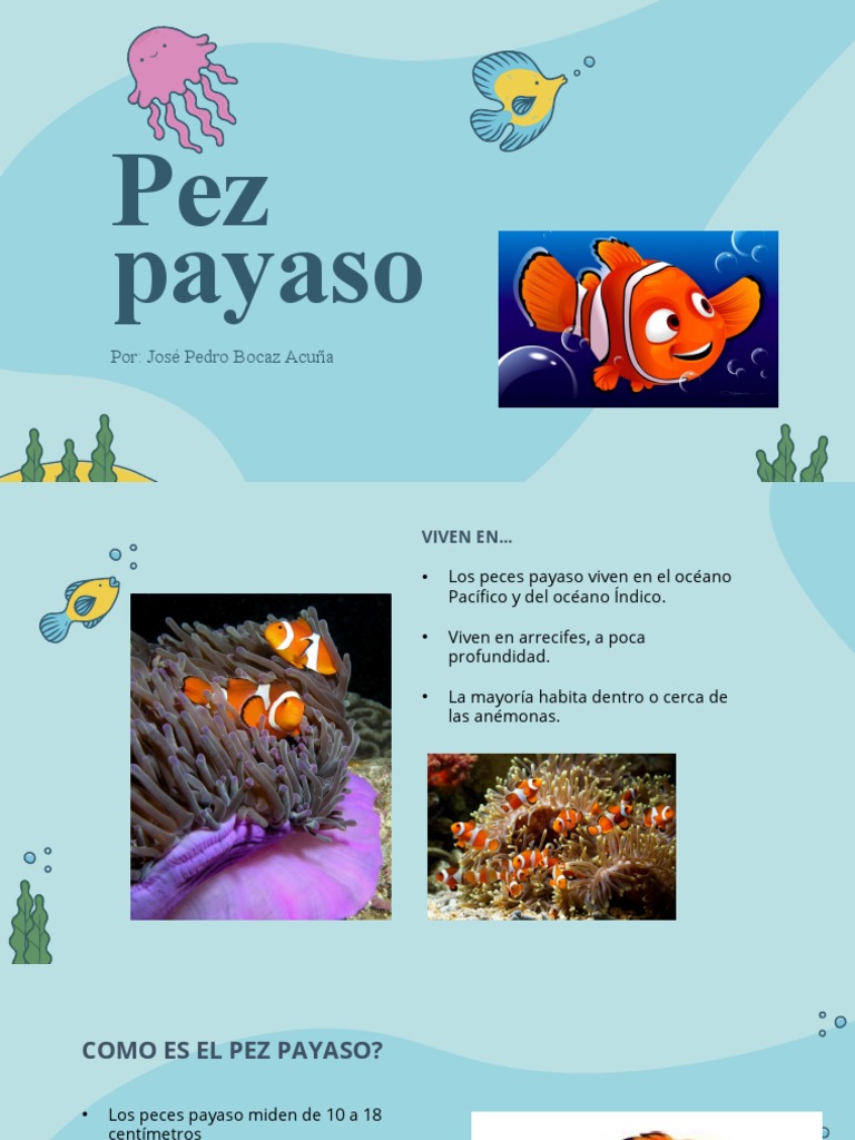 Pez Payaso2 | PDF