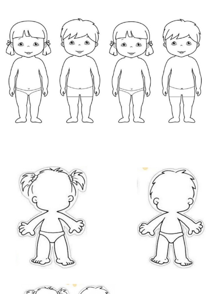 Cuerpo Humano | PDF