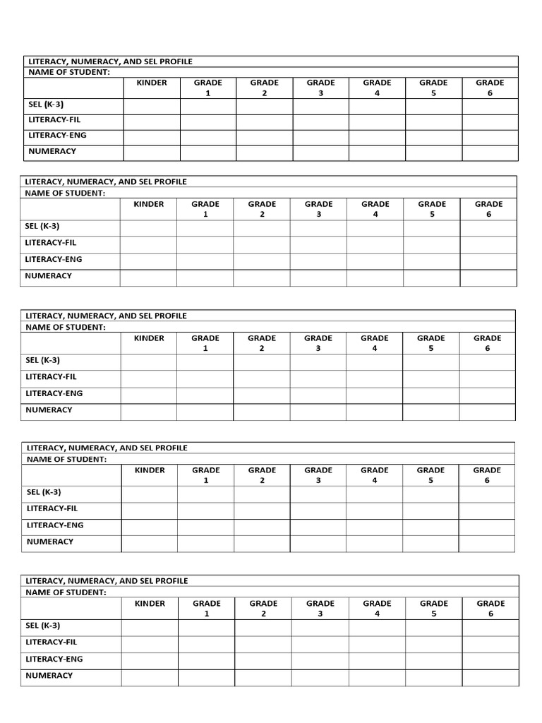 Literacy and Numeracy Profile | PDF
