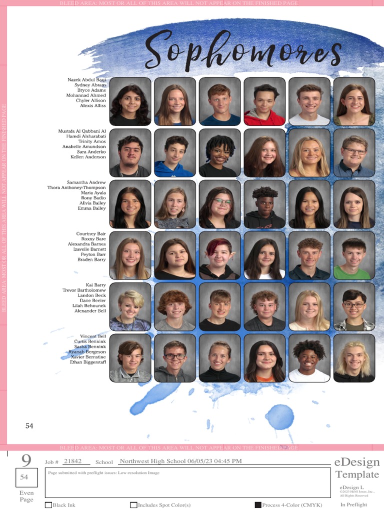 Sophomore Portraits PDF | PDF | Light | Visual Perception