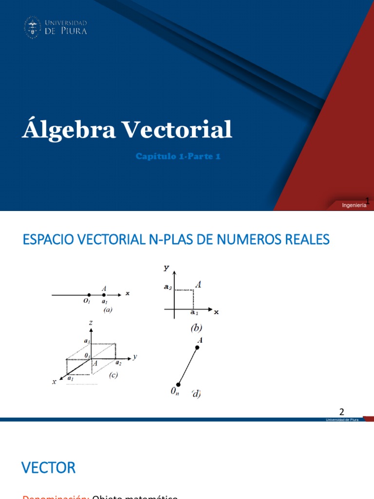 Algebra Vectorial P1.0 | PDF | Espacio vectorial | Vector Euclidiano