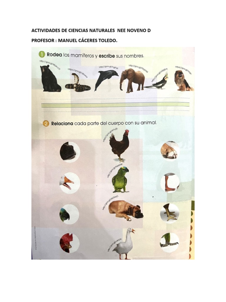 Actividades de Ciencias Naturales Nee Noveno D 2023 | PDF