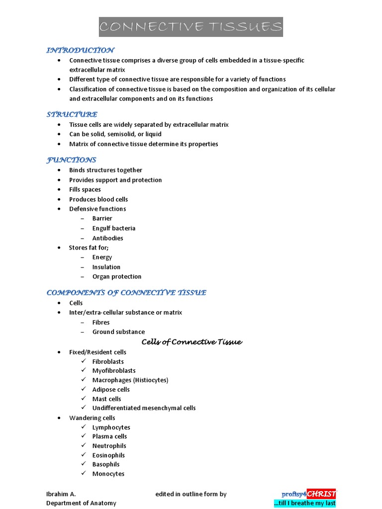 Connective Tissues | PDF | Connective Tissue | Bone
