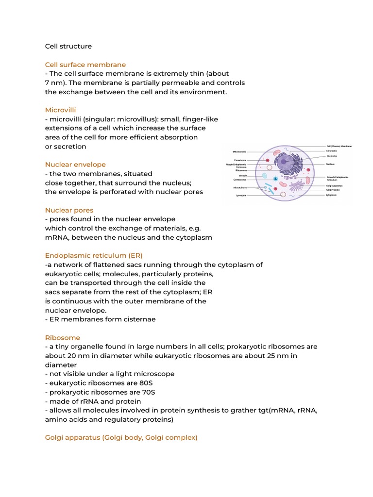 Cell Structure | PDF
