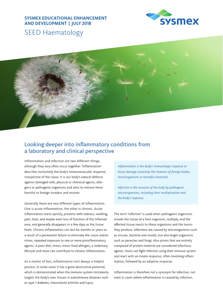 Understanding Inflammation vs. Infection | PDF | Immune System ...