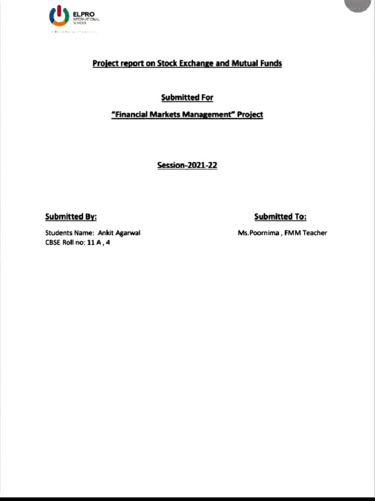 FMM Complete Project Ankit Agarwal | PDF