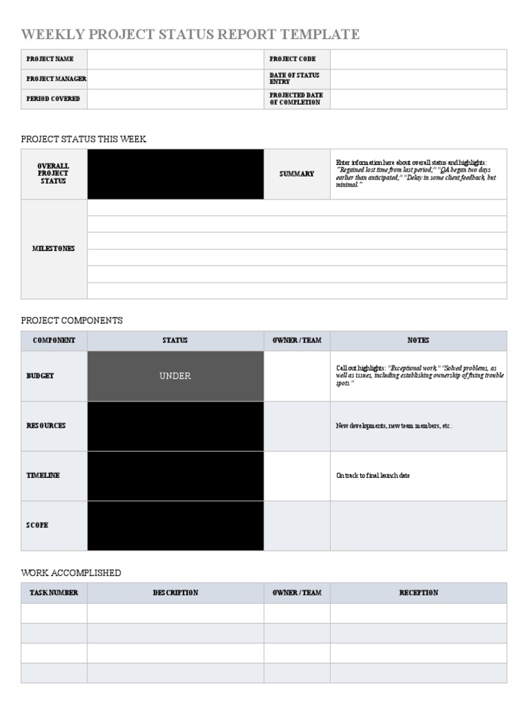 IC Weekly Project Status Report 10776 | PDF | Systems Science | Computing