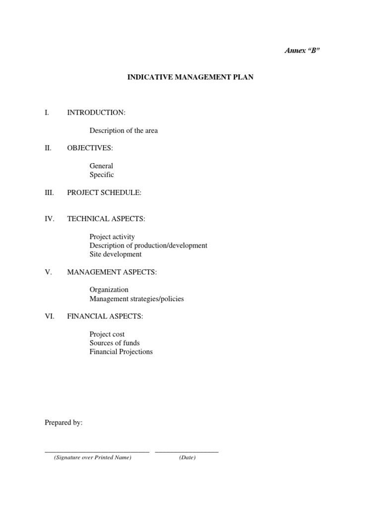 Indicative Management Plan Template | PDF