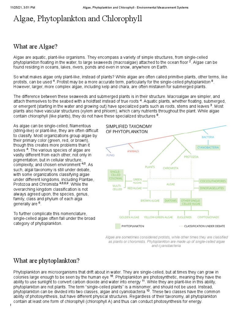 Algae - Information | PDF | Photosynthesis | Phytoplankton