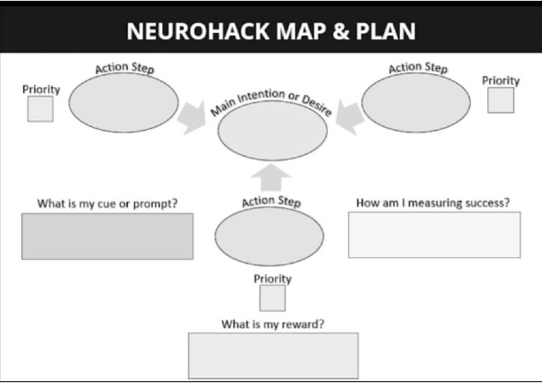 Neurohack Map & Plan | PDF