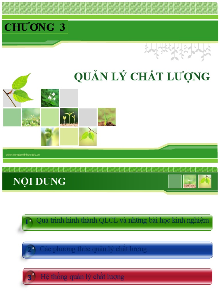 QTCL - Chuong 3 | PDF