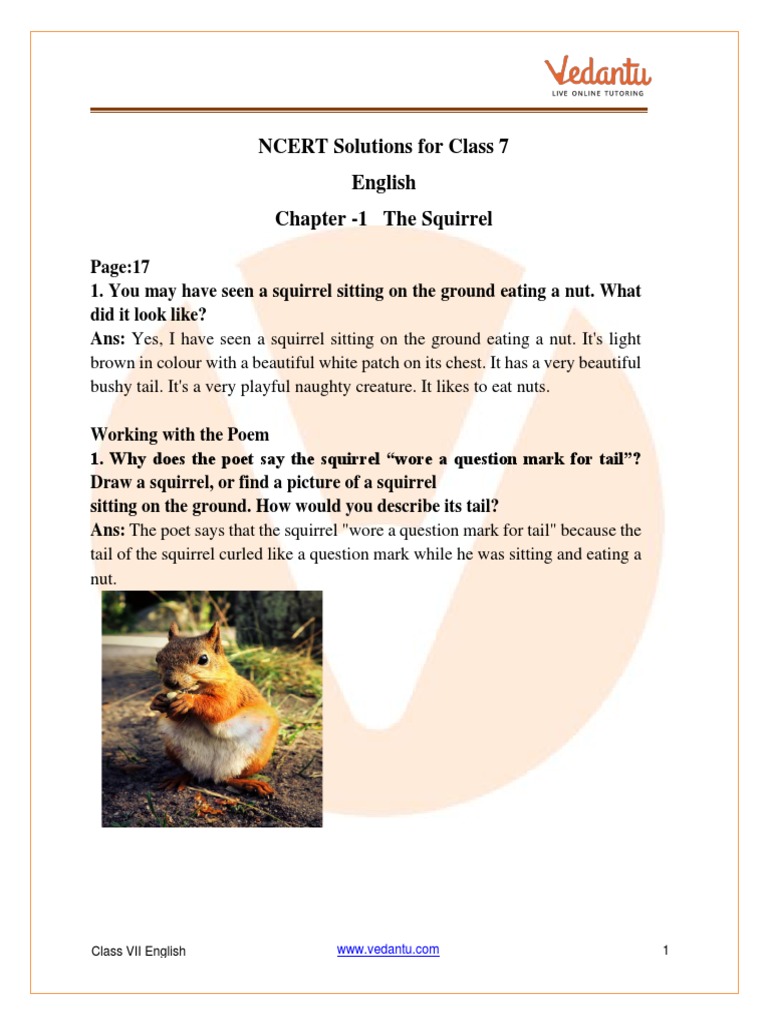 NCERT Solutions For Class 7 English Chapter 1 - The Squirrel - . | PDF