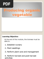Organic Vegetable Production | PDF | Crop Rotation | Organic Farming