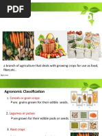 Agronomic of Field Crops, Scientific Names, List of Crops | PDF | Crops ...