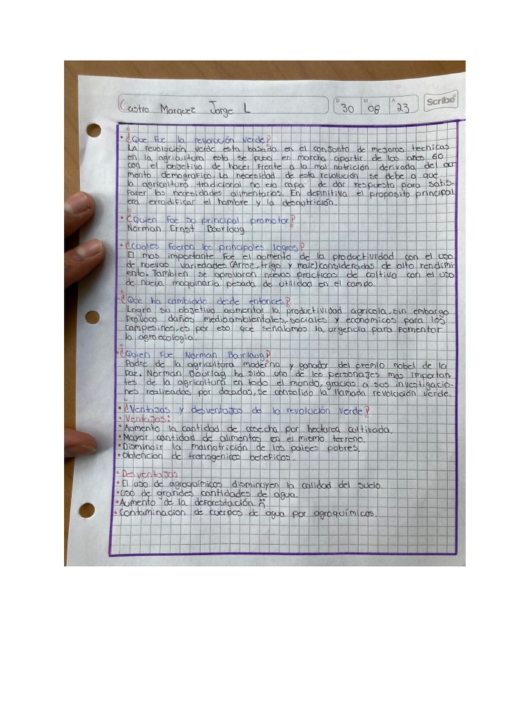 Jorge Leonel Castro Marquez - Revolución Verde | PDF