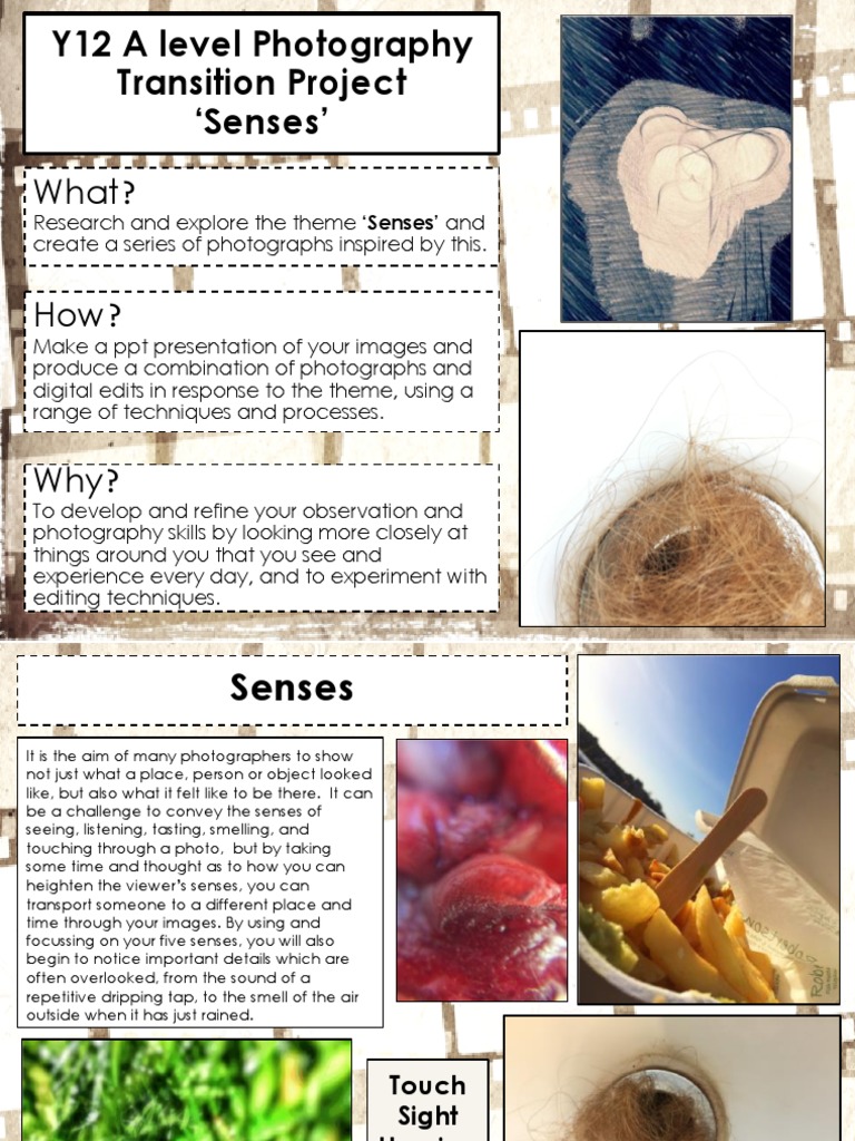 A Level Photography Transition and Summer Project Part 1 | PDF | Senses ...
