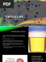 Normal Urine Routine Examination Report | PDF | Urine | Kidney