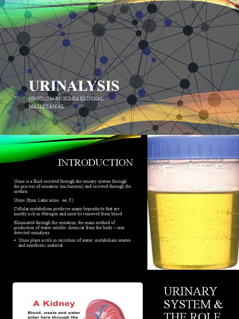 Urinalysis | PDF | Urine | Kidney