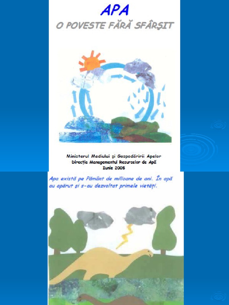 APA - o Poveste Fara Sfarsit | PDF