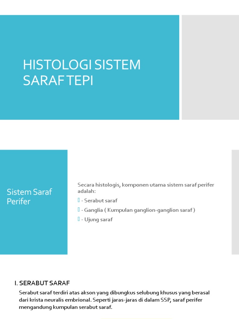 Histologi Serabut Saraf Perifer | PDF