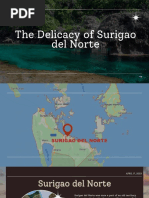 ARMM: History and Provinces Overview | PDF | Mindanao | Philippines