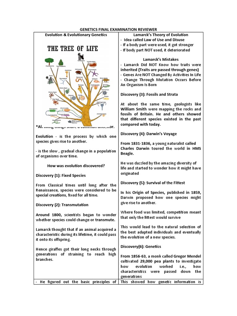 Genetics Final Examination Reviewer Pdf Evolution Genetics