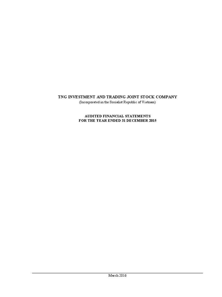 2233 - EN TNG Financial Statements 31-12-2015 | PDF | Audit | Financial ...