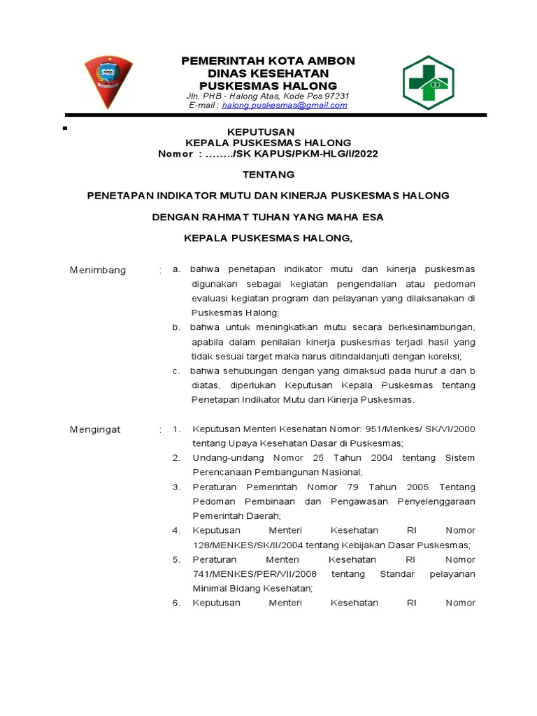 Indikator Mutu Puskesmas Halong | PDF