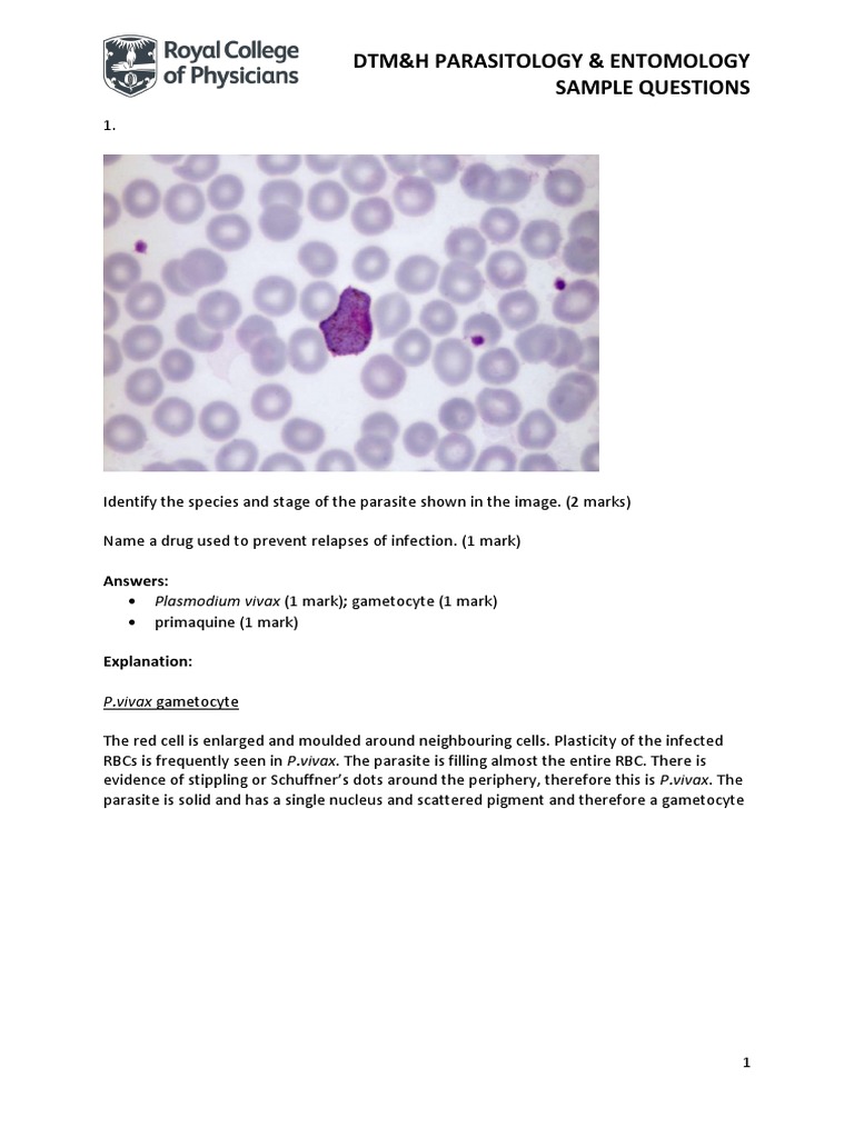 Parasitology & Entomology Exam Questions | PDF | Parasitology | Leishmania