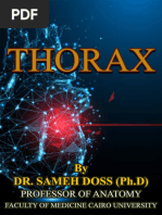 Thorax Anatomy Diagrams Overview | PDF