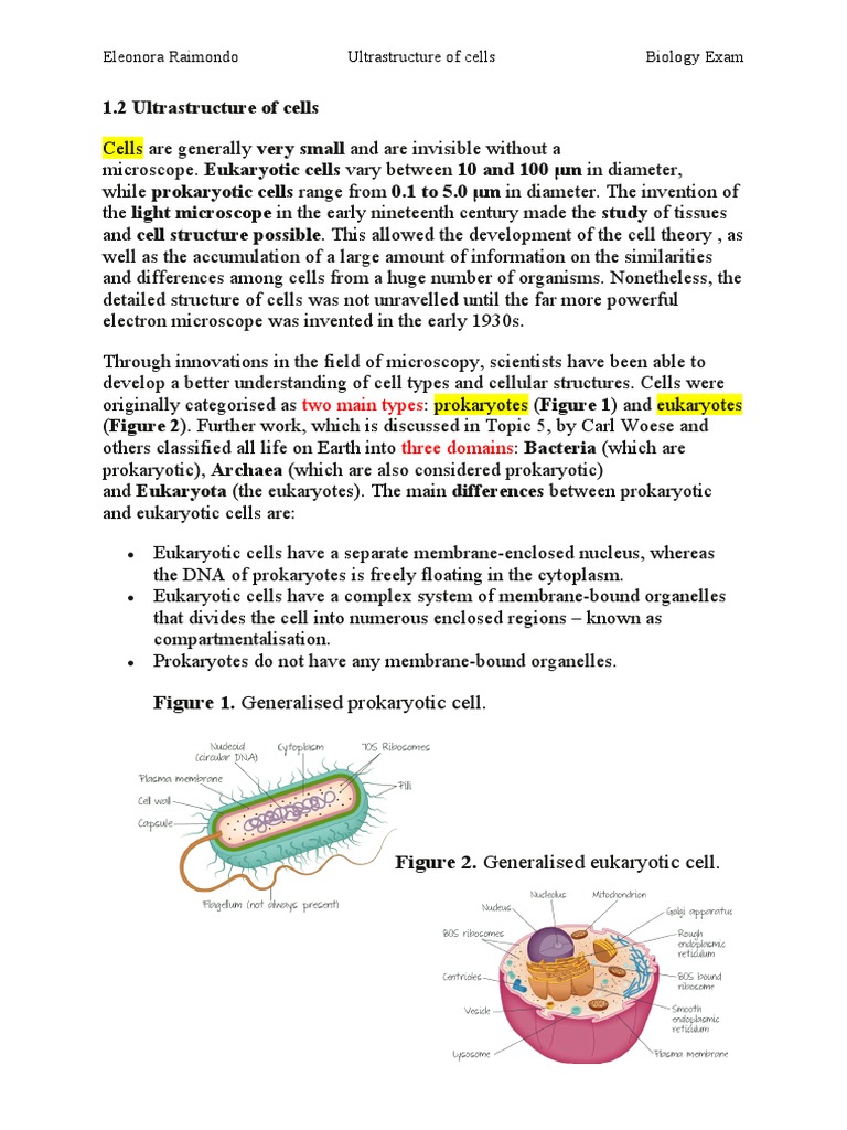 1.2 Ultrastructure of Cells | Download Free PDF | Cell (Biology ...