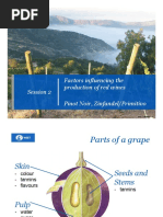 WSET Level 4 Tasting Sheet Guide | PDF | California Wine | Rose