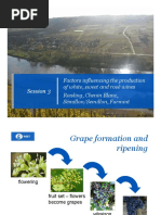 WSET Level 3 Tasting Guide | PDF | Fruit | Aroma Of Wine