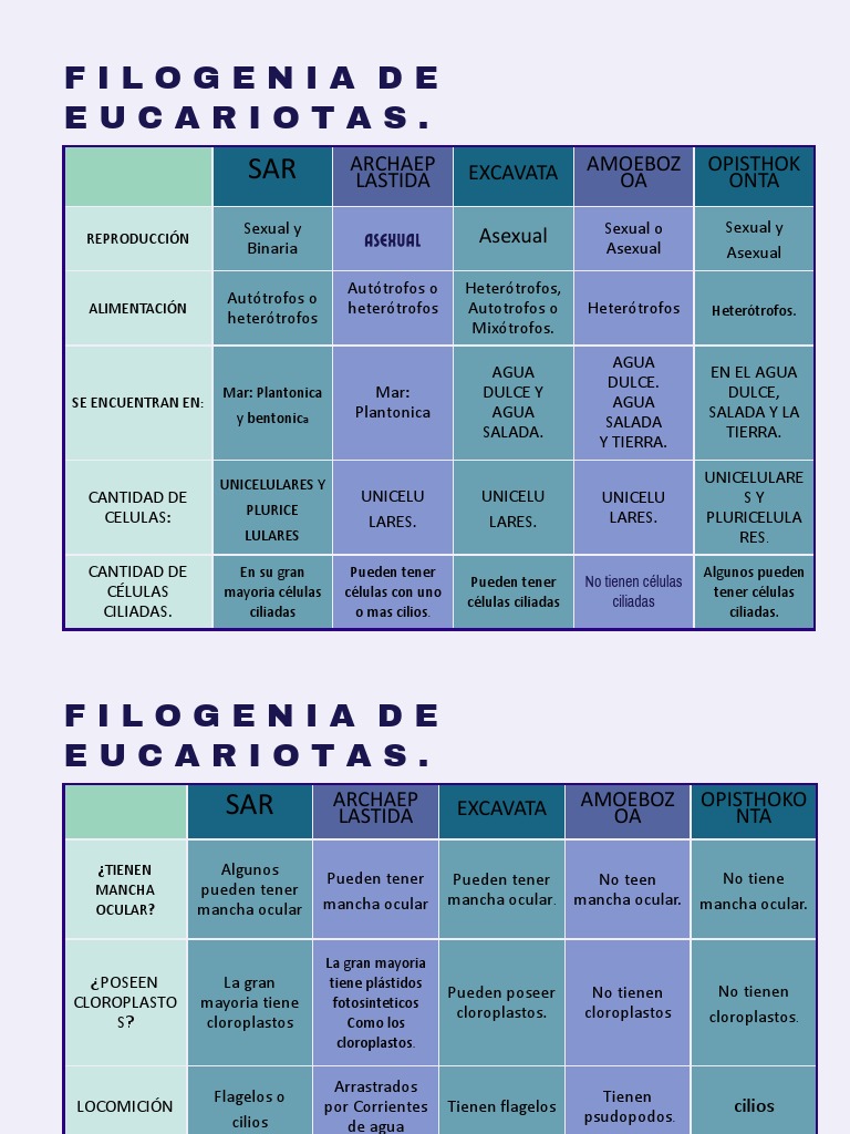 Filogenia de Eucariotas | Descargar gratis PDF | Eucariotas | Biología ...
